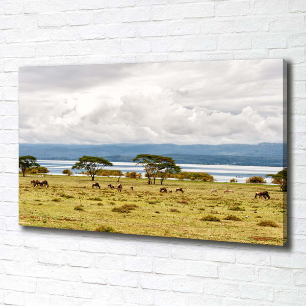 Union Rustic Lake Naivasha - Ungerahmte Kunstdrucke auf Leinwand | Wayfair.de